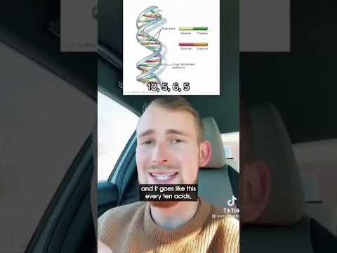 Is God's Name In Our DNA?