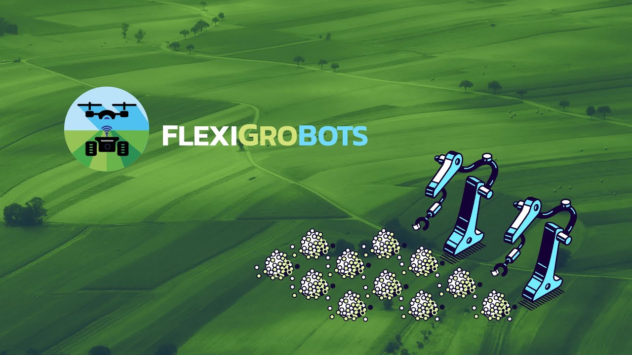 FlexiGroBots - Flexible robots for intelligent automation of precision agriculture operations