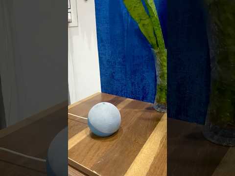 Amazon Echo Dot 4th Gen Sound test