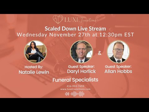 ✨ Scaled Down Live Stream With Daryl & Allan - Nov 27th 2024