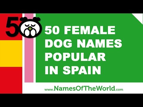 50 female dog names popular in Spain - www.namesoftheworld.net