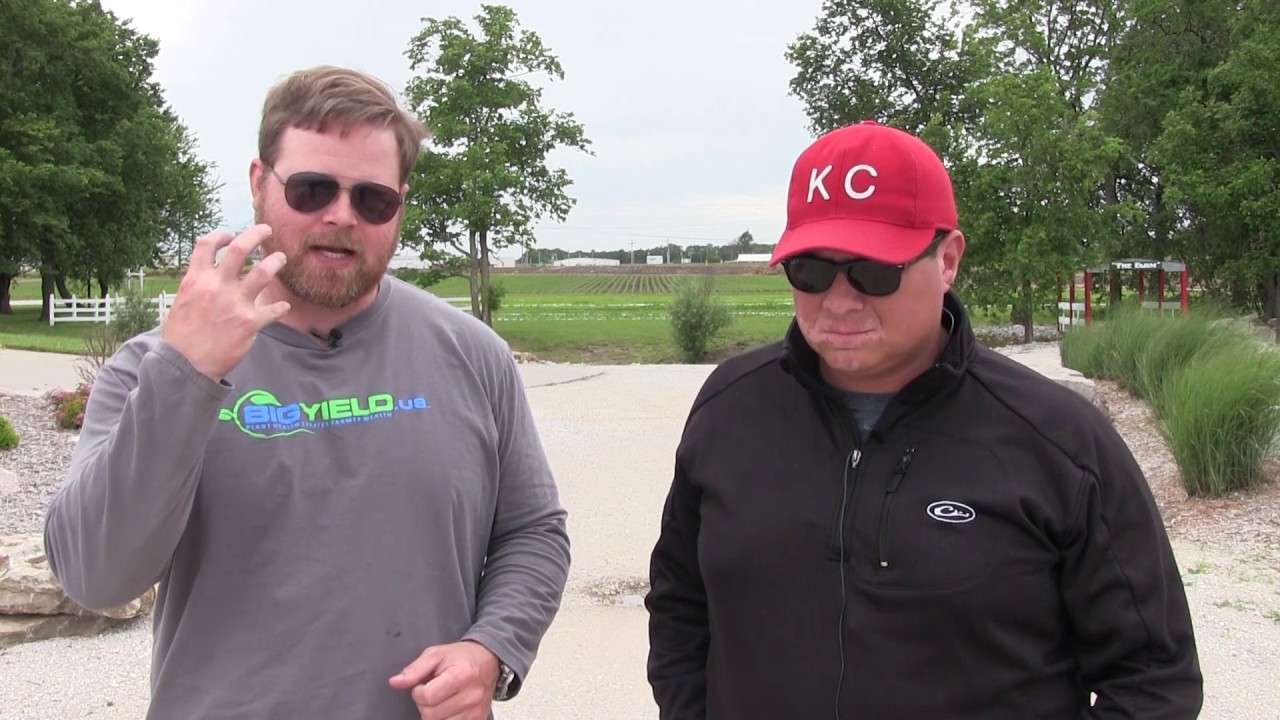 The Importance of Chelated Nutrients in the Yield Booster Foliar Treatment