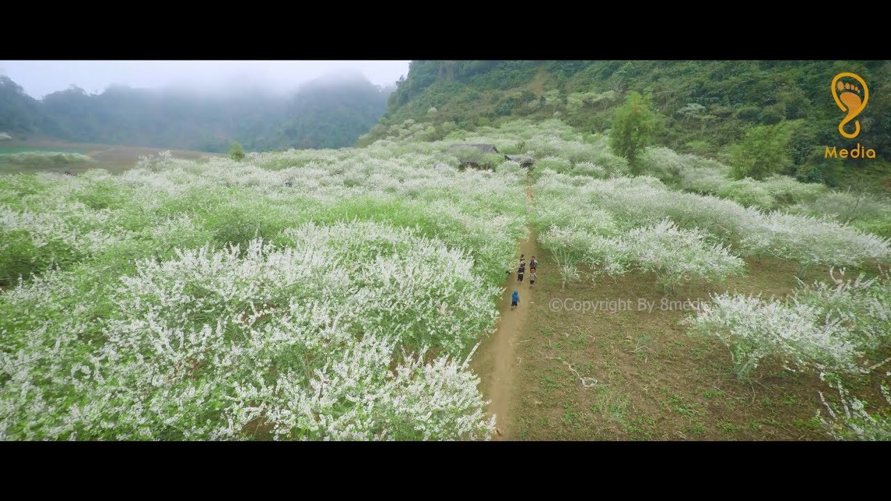 SHOWREEL DU LỊCH 8MEDIA