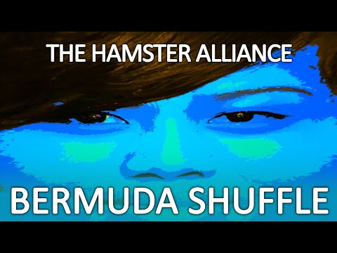 Steam Community :: Video :: Bermuda Shuffle 2022 (Hamster Alliance)