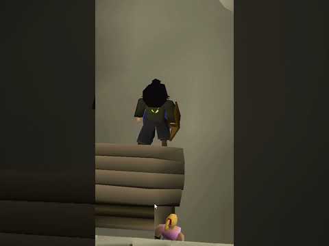 Iron sq shield OSRS Wiki