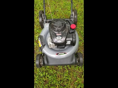 This Craftsman Mower Isn't Starting Unless I Put Gasoline Into the Carb But Then It Stops