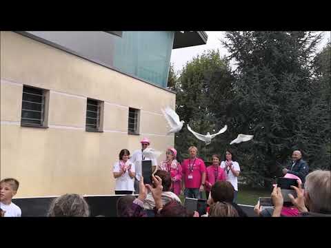 Lâcher de colombes contre le cancer - St Vulbas (01)