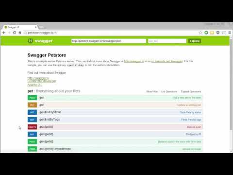 How To: Use the Swagger Demo