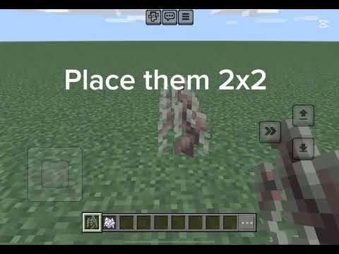 How to grow a Pale Oak tree in Minecraft