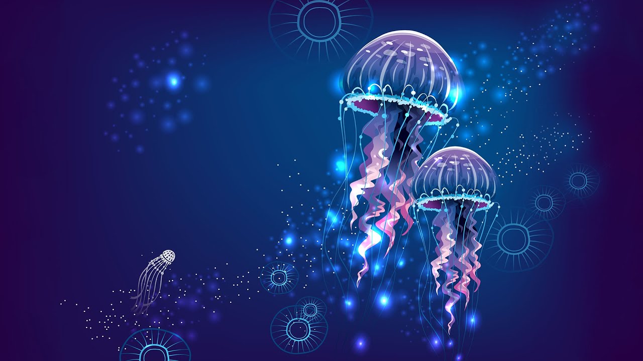 555Hz  》New Wave of Positive Energy  》Develop Radiant Aura  》Angelic Frequency #Jellyfish Series