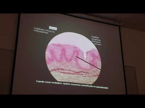 Histología lab clase 1 usmp