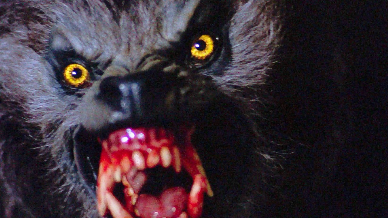 Werewolf Goes on a Killing Streak... | American Werewolf In London | Disaster TV