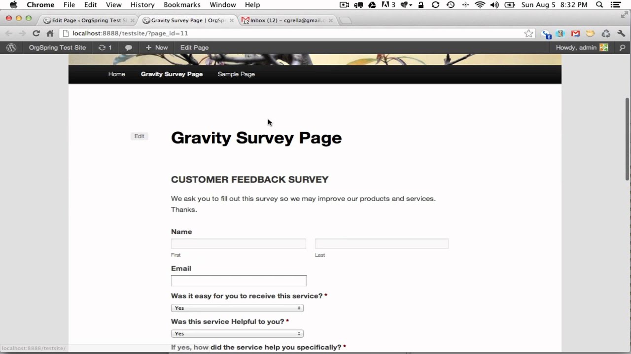 Embedding a Gravity Form Survey Into a WordPress Page