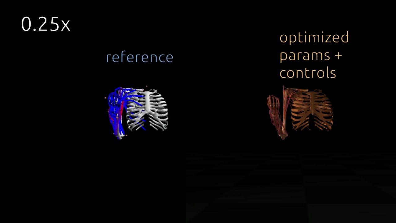 Forward Dynamics Comparison (OpenSim vs MuJoCo)