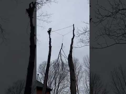 4 pulleys and 3 ropes!