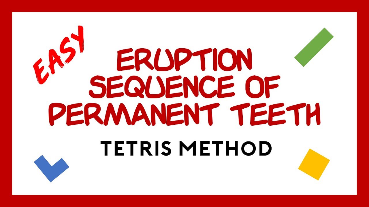 Tooth Eruption Sequence for Permanent Teeth: Tetris Method