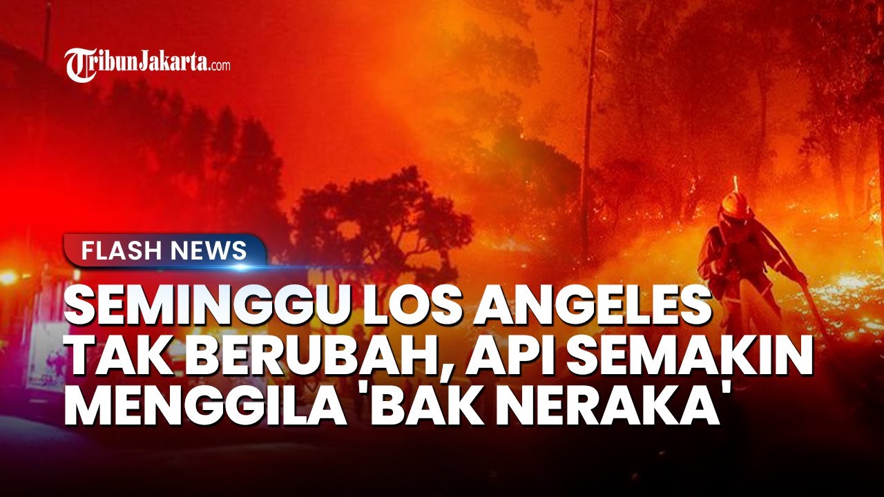 Tak Ada Tanda-tanda Hujan di Los Angeles! Angin Santa Ana Meningkat ...