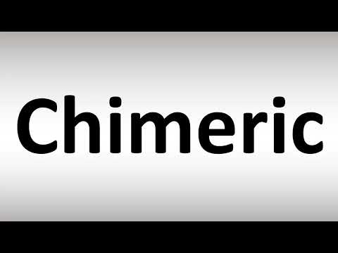How to Pronounce Chimeric