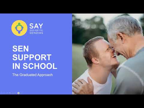Special Educational Needs (SEN) support in schools
