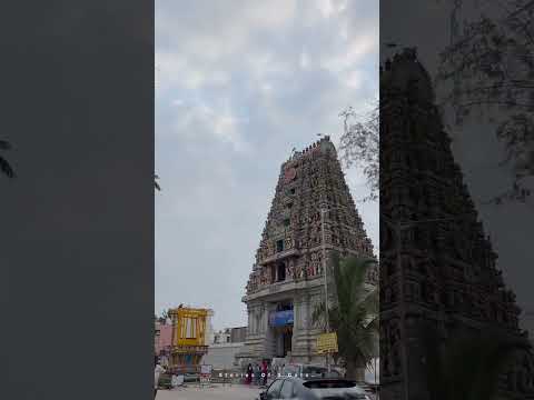 Temple & Lake: A Serene Day in Bengaluru