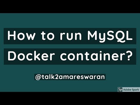 How to run MySQL Docker container?