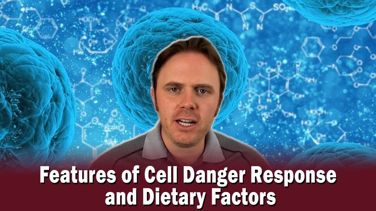 Understanding the Cell Danger Response and the Role of Diet in ...