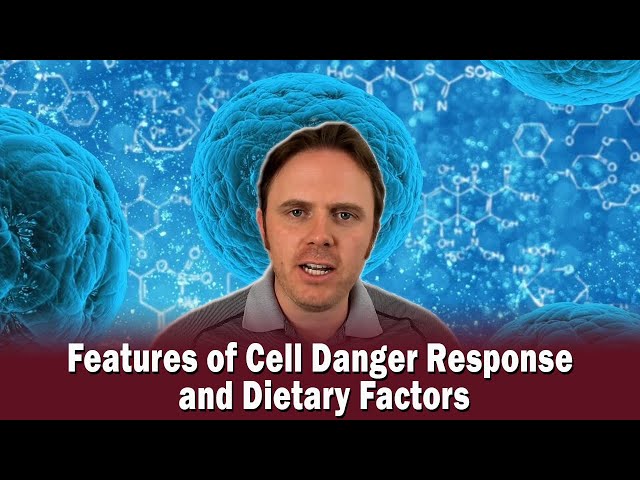 Understanding the Cell Danger Response and the Role of Diet in ...