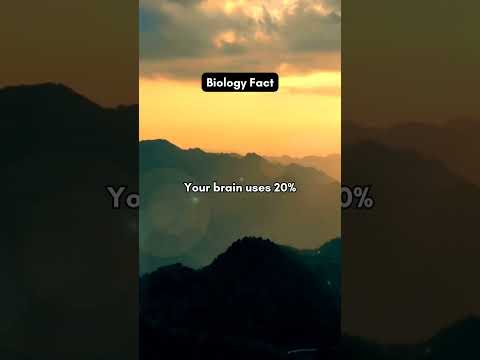 Fun fact of the day