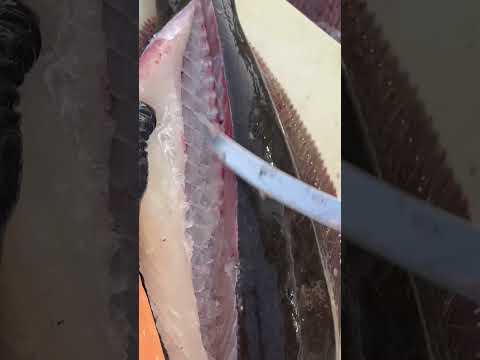 Learn how to filet a California halibut from deckhand Jay from Apollo Sportfishing in San Pedro