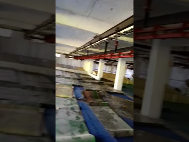 Overhead I beam Conveyors - X458 Overhead I beam Conveyor Chains ...