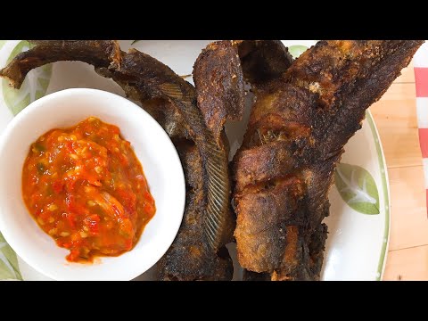 Resep Lele Goreng #lele #lelegoreng