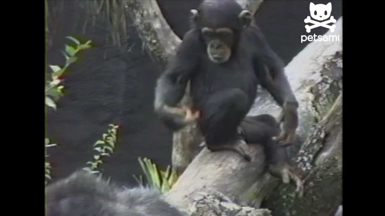 How to get info from URL? - APIs - Bubble Forum