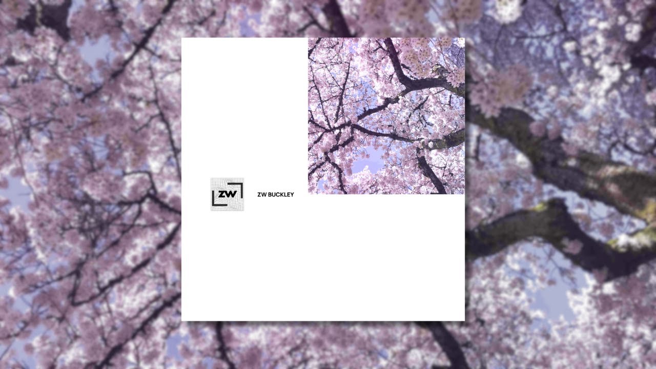A Lifetime of Looking at Branches | Ambient Botanica Album | Full Ableton Live Playthrough