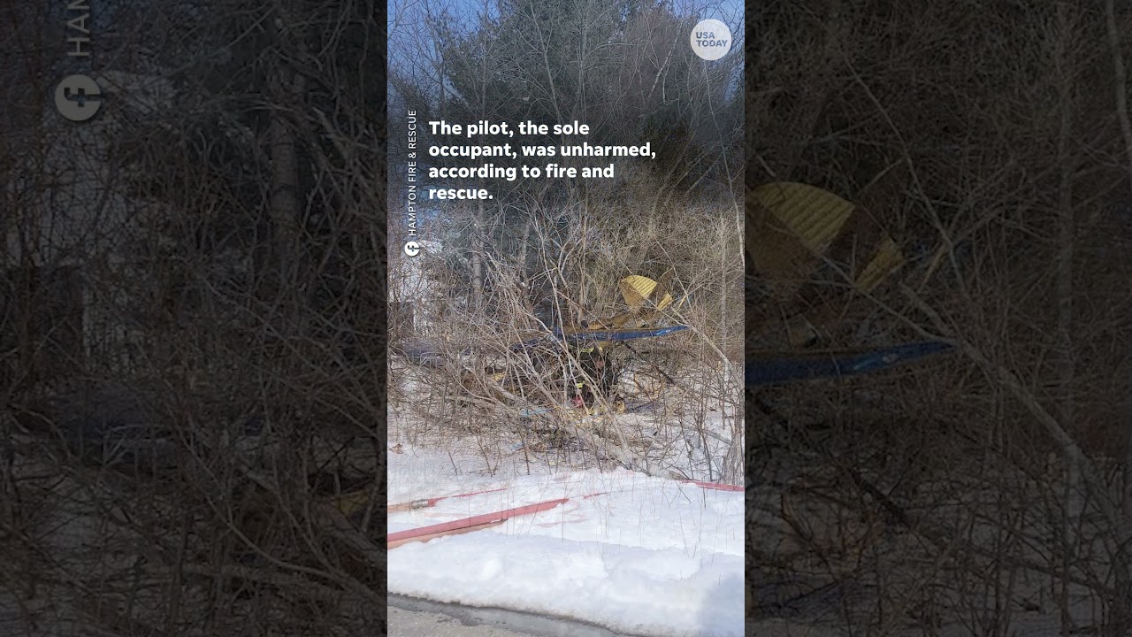 Pilot unharmed after small plane crashes in New Hampshire neighborhood