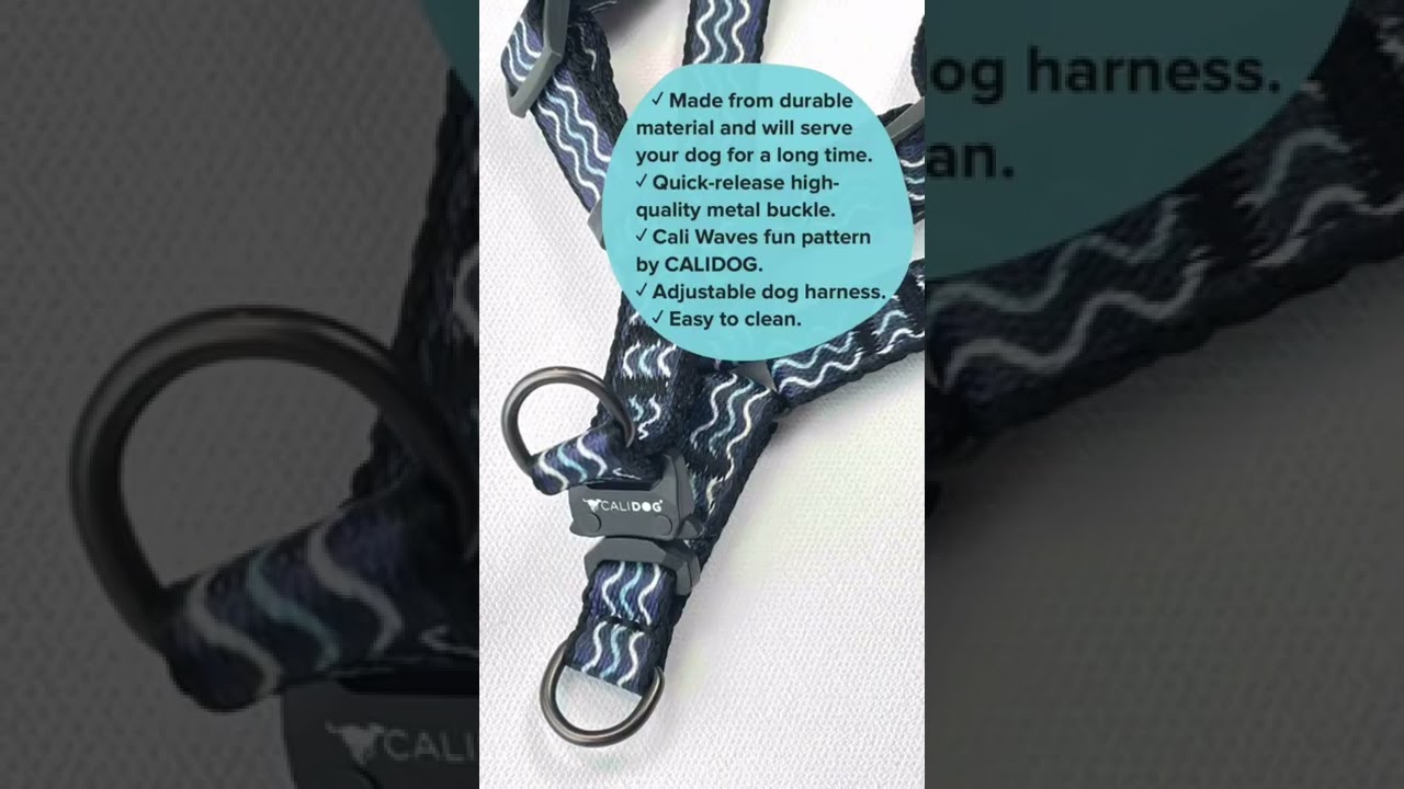 🤍 Deluxe Dog Harness #calidog