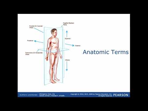 Chapter 5 Lecture