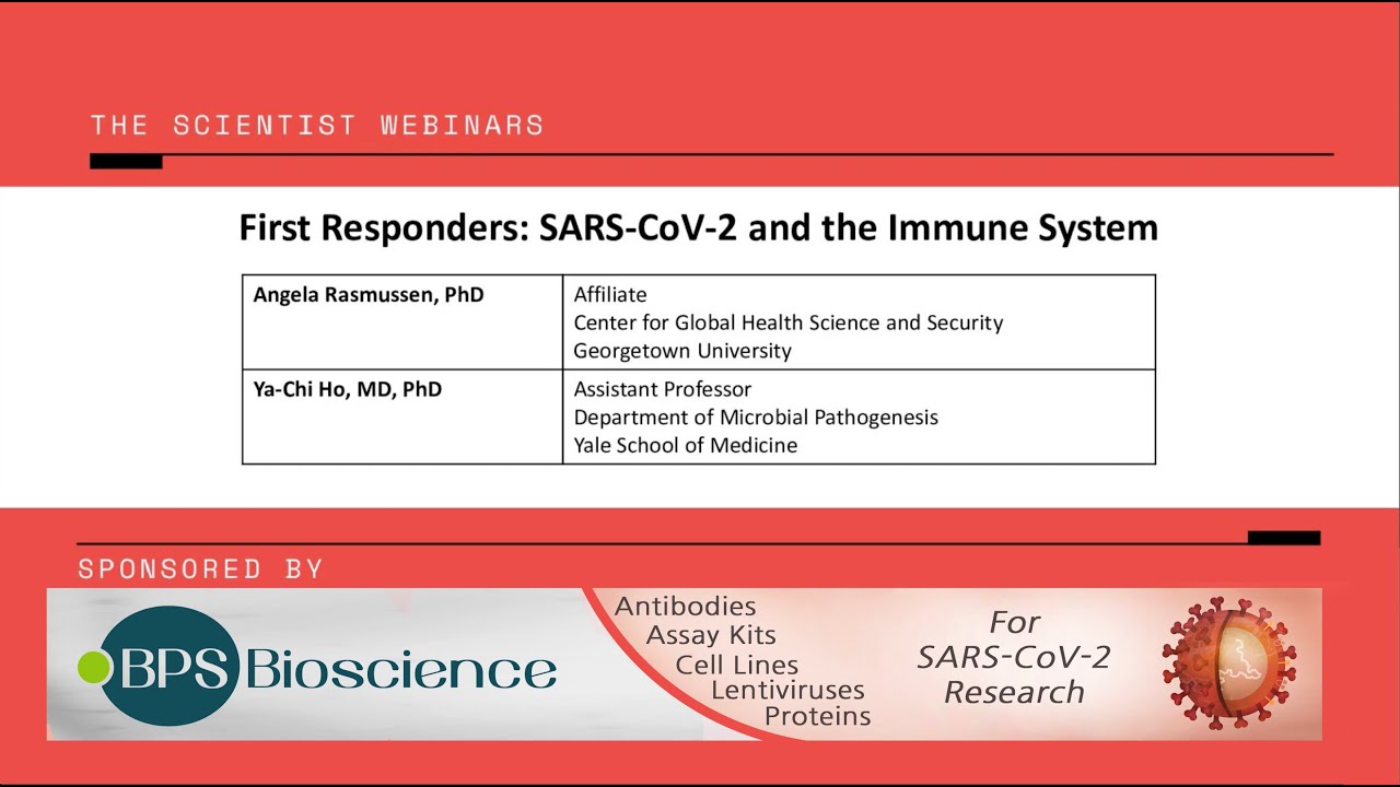 First Responders: SARS-CoV-2 & the Immune System