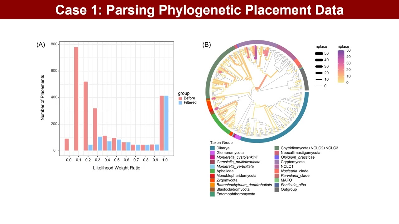 iMeta | Phylogenetic placement uncertainty with custom visualizations using treeio and ggtree