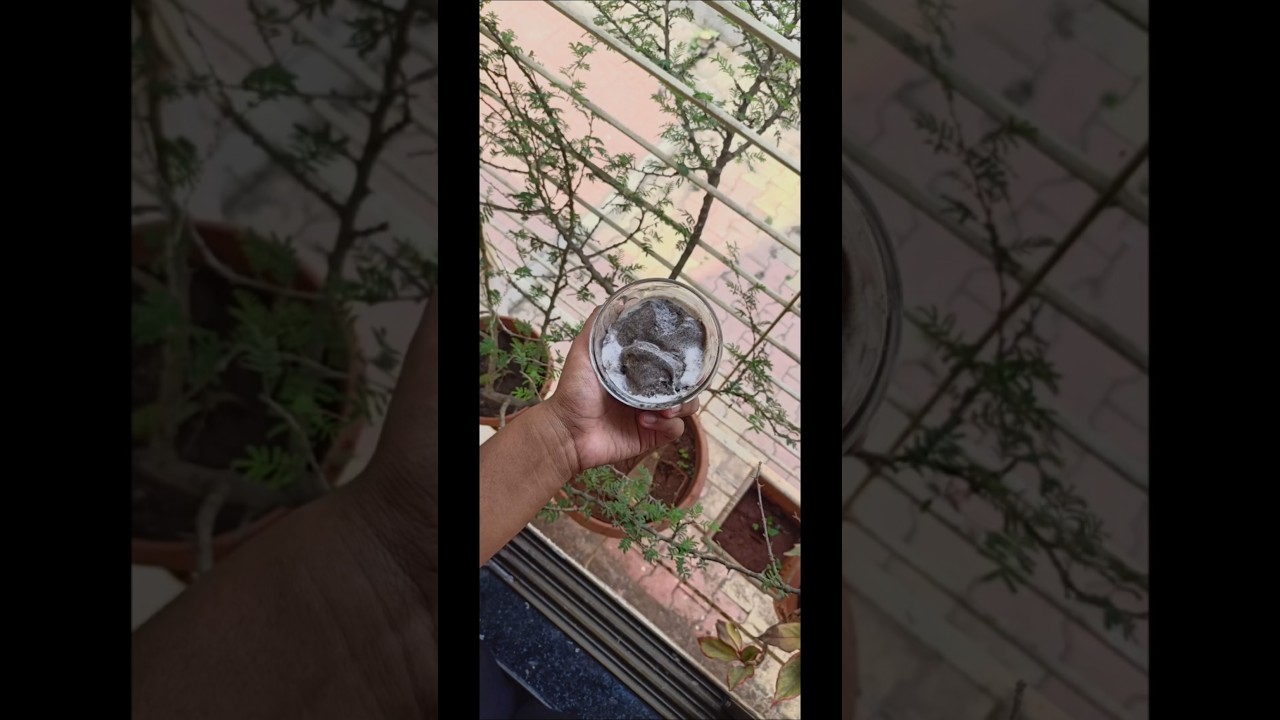 Oreo Icecream #Homemade #Icecream #Oreo #Art_Ful_Bites 🎨