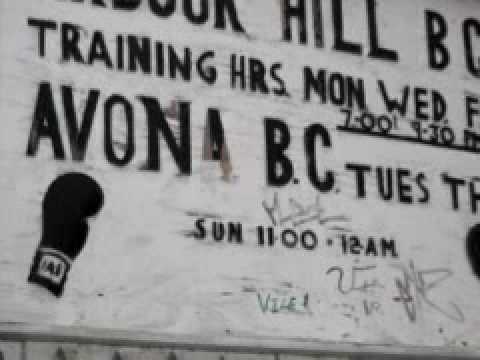 תרגיל בתרגום | Evil Fish