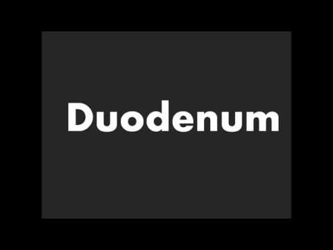 How to Pronounce Duodenum