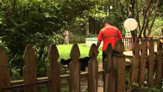 Meter Reader Overview | What is a meter reader? - Zippia