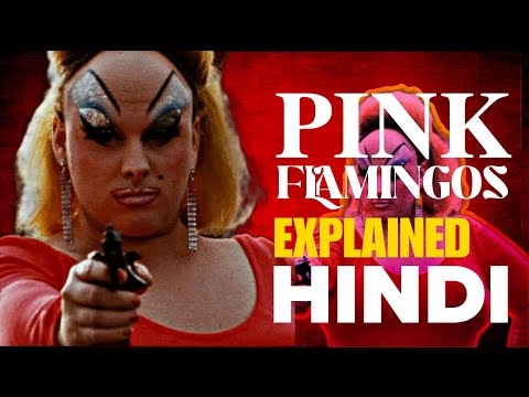 pink flamingos movie explained in hindi