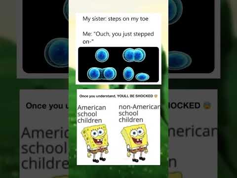 Meme: non American school 😂