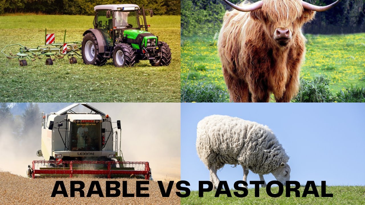 Comparing Arable and Pastoral Farming: Benefits, Drawbacks, and Future ...