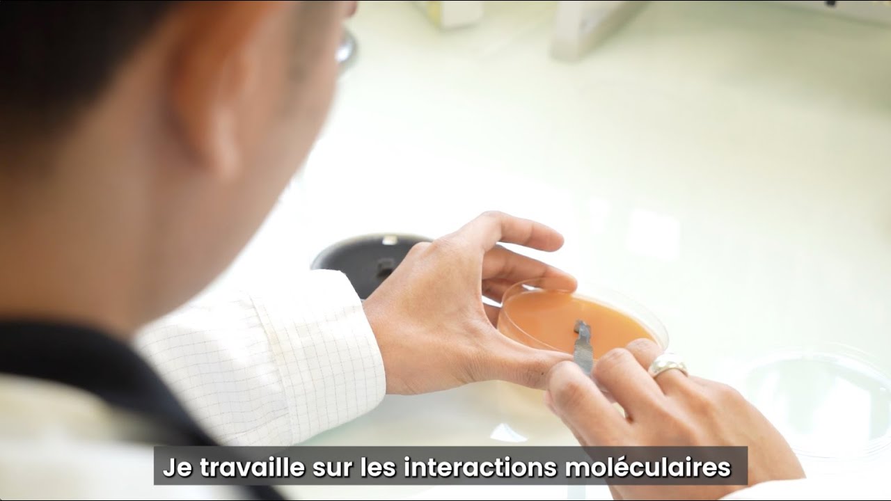 Univ angers ent : tout savoir sur l'université et ses formations