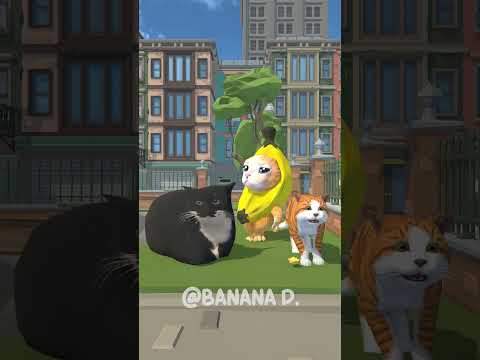 OHIO Cat's ???????? Spinning Challenge Part TWO