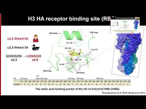 One Health and the potential of H5N1 jumping from Birds to Humans - Dr. Daniel Perez