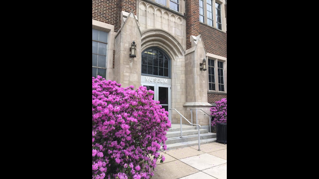 MSU Museum - Overview