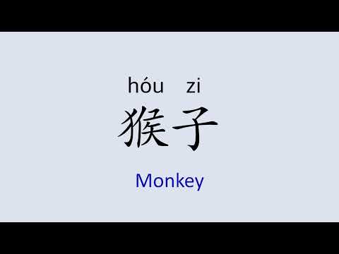 How to Say "Monkey" in Chinese